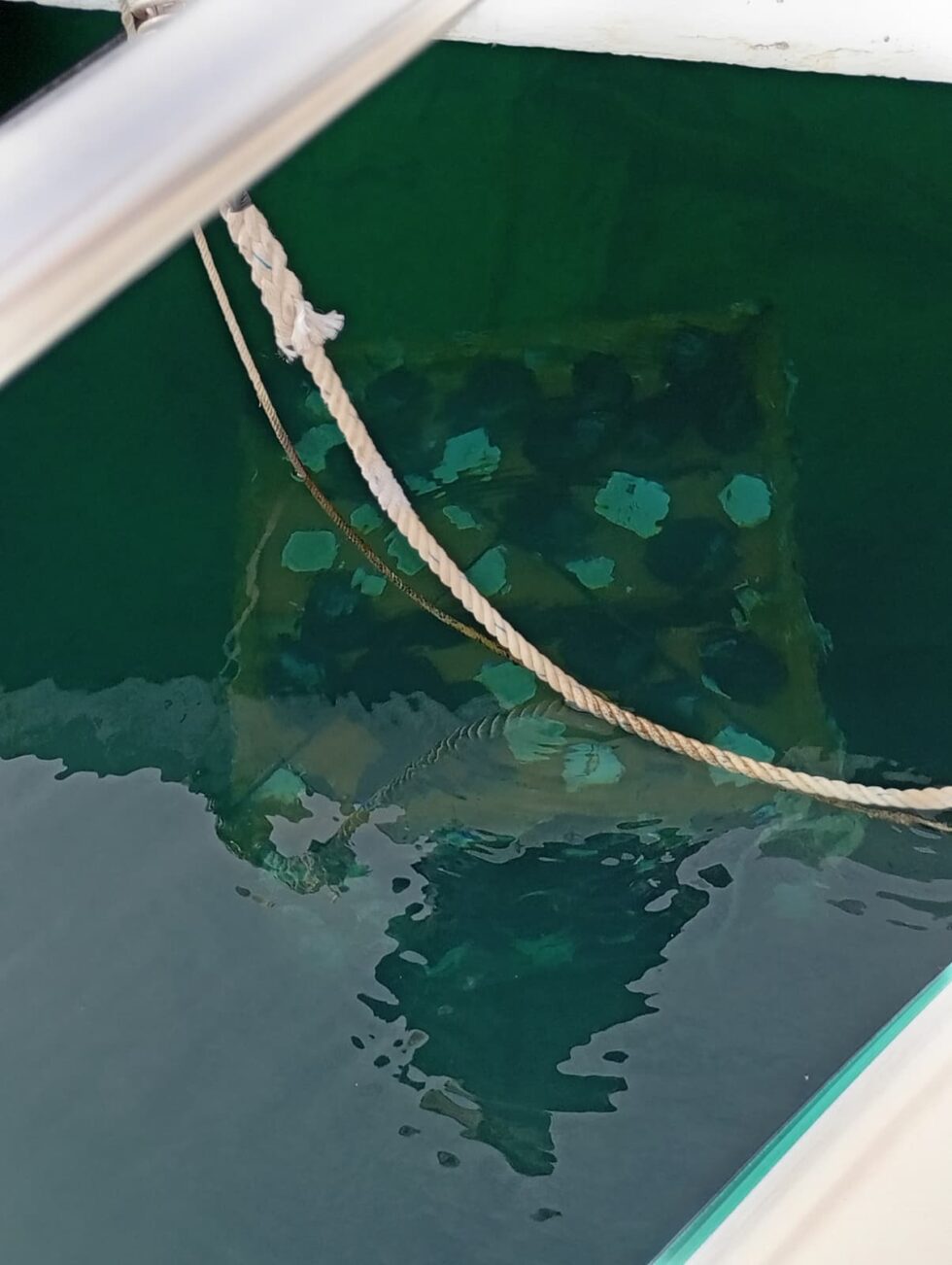 ESTRUCTURAS BIOMIMÉTICAS SOSTENIBLES (EBS) - Proyectos Galpemur